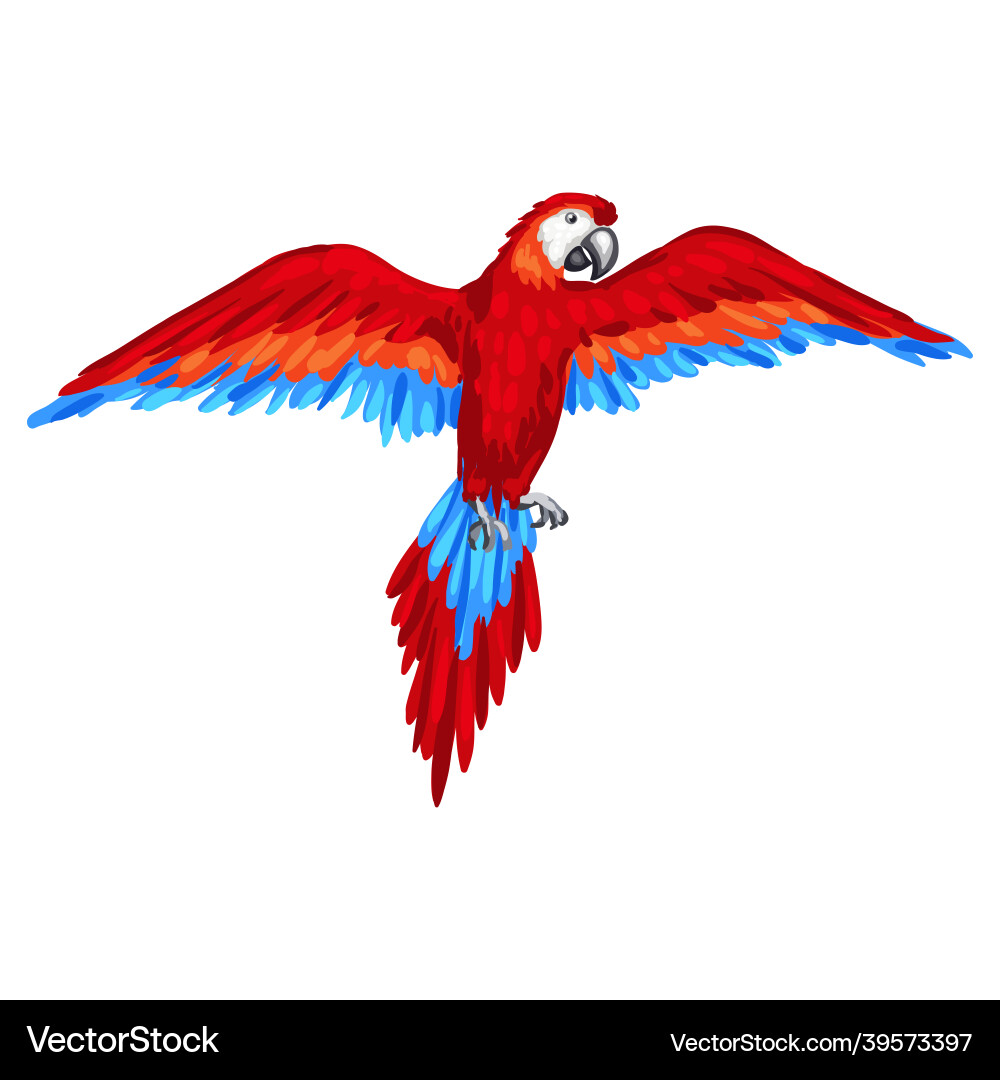 Stylized of parrot image for design Royalty Free Vector
