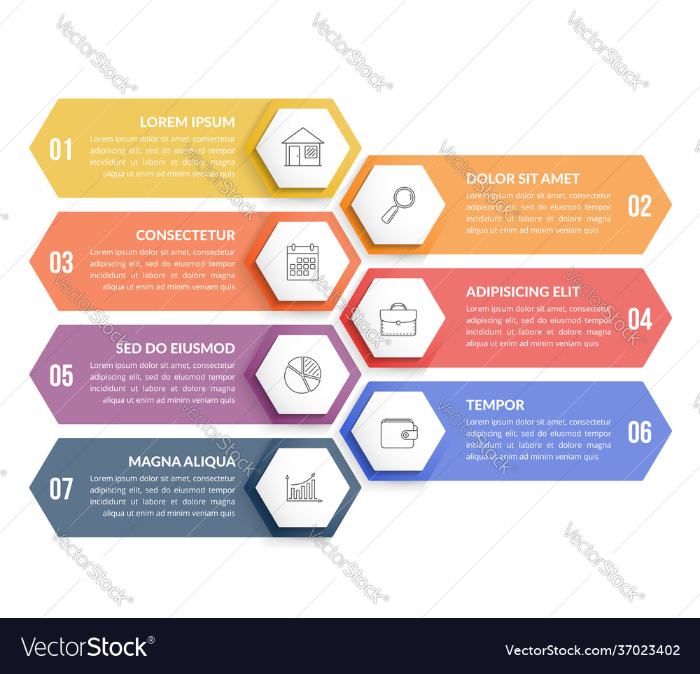 7 steps infographics Royalty Free Vector Image