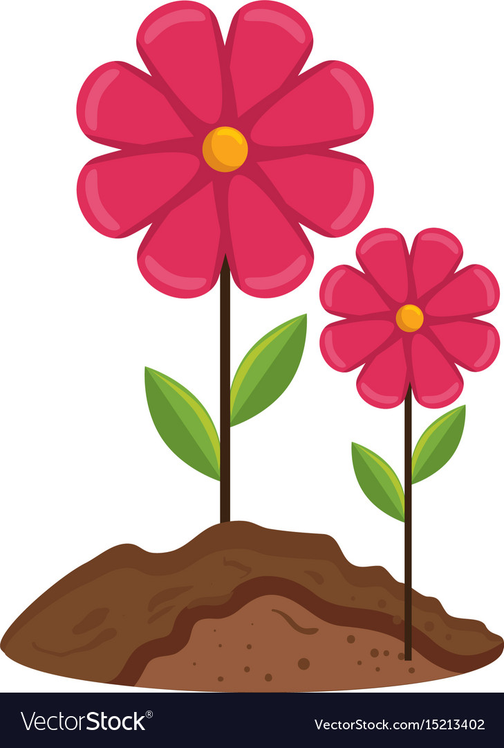 Beautiful flowers design Royalty Free Vector Image