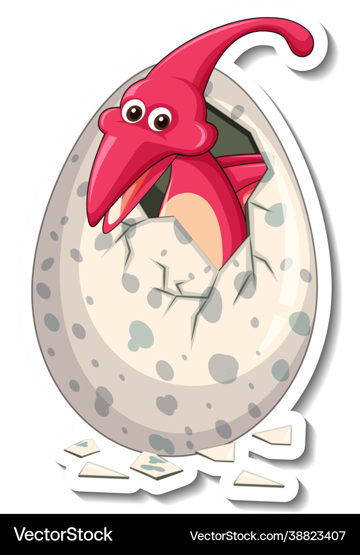 A sticker template with baby dinosaur hatching Vector Image