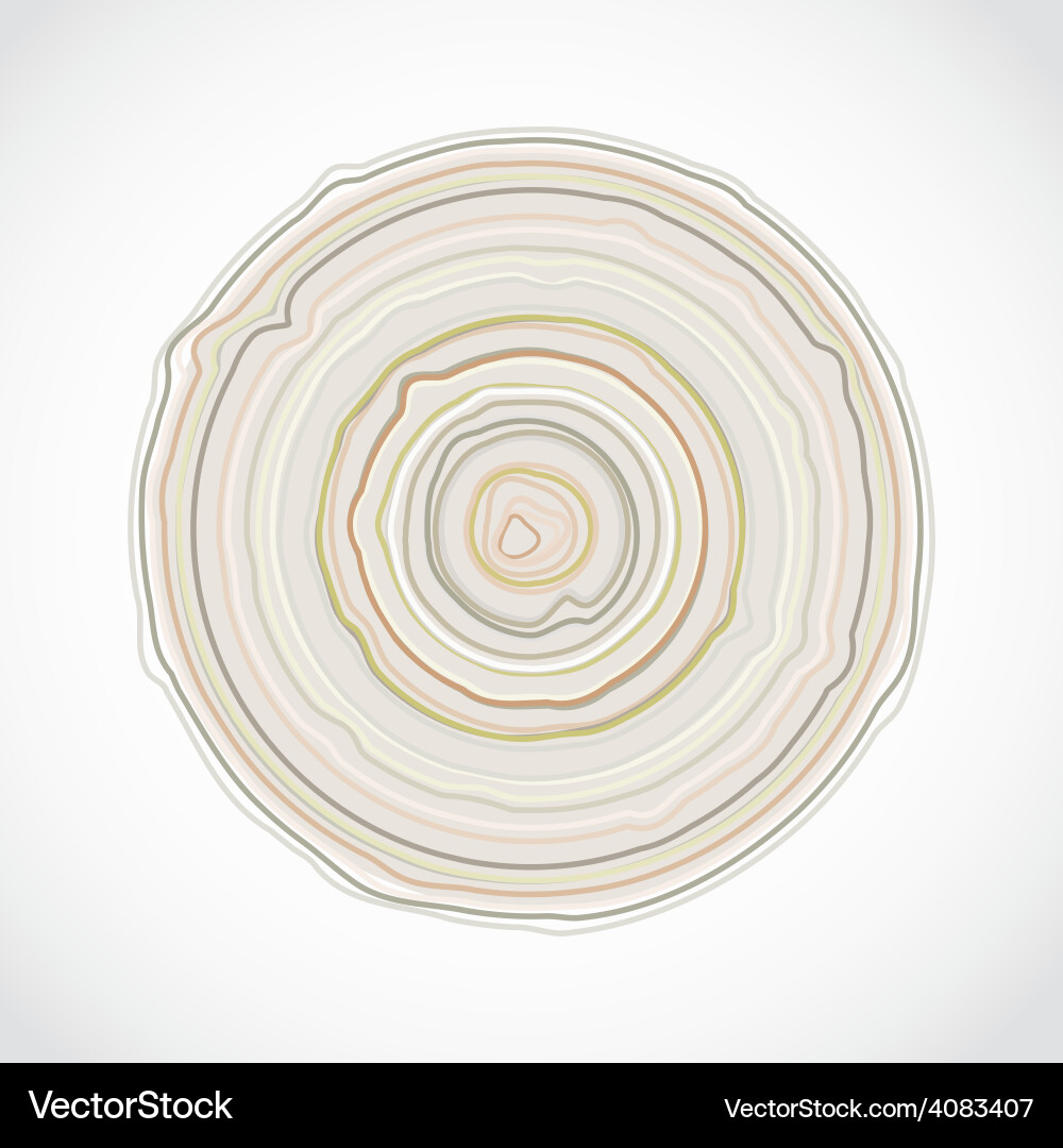 Cross section of tree trunk isolated on white Vector Image