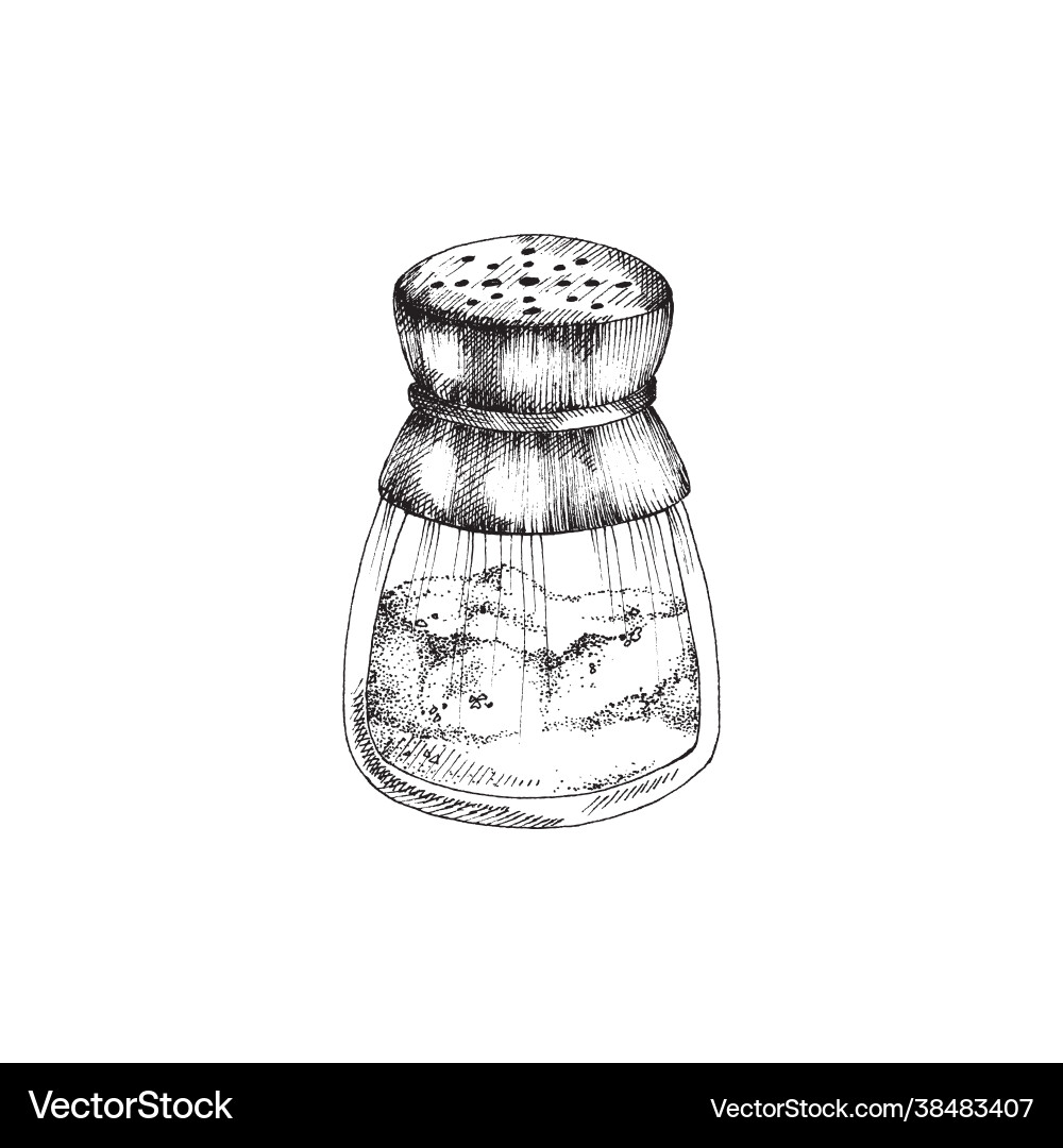 Hand drawn salt shaker utensil engraving Vector Image