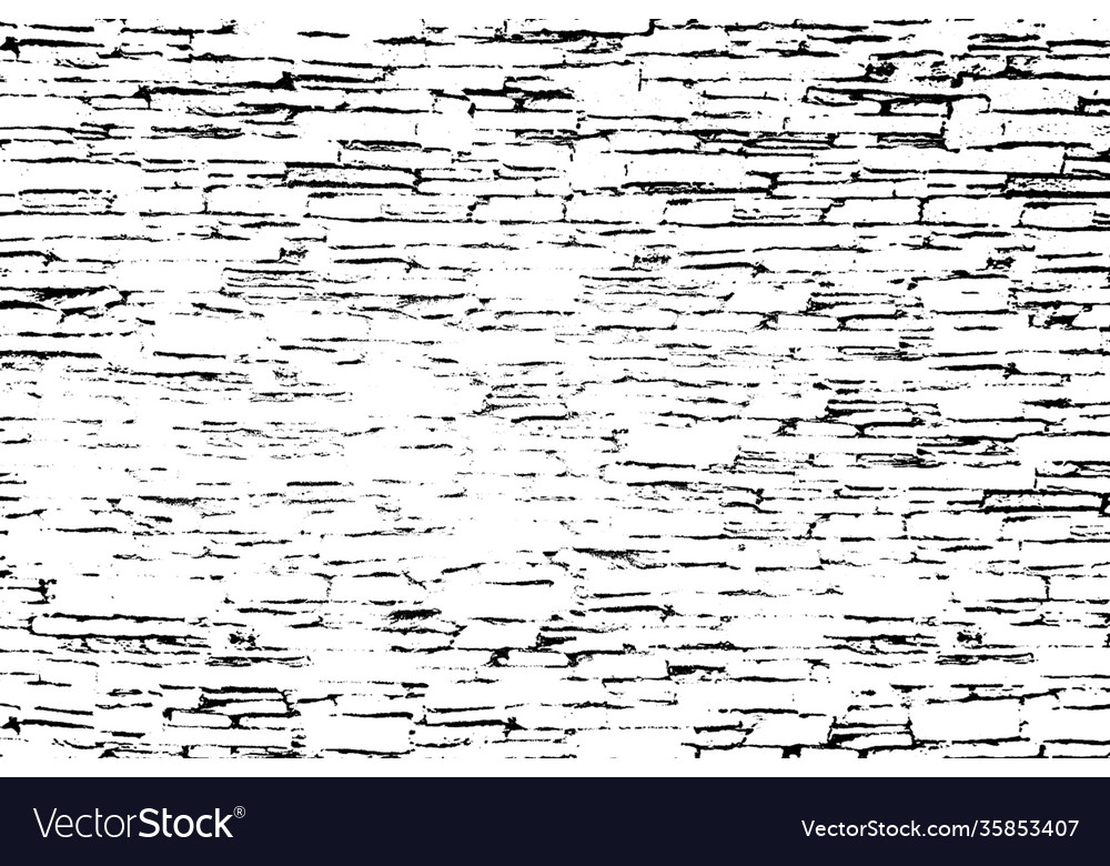 Stone wall texture Royalty Free Vector Image - VectorStock