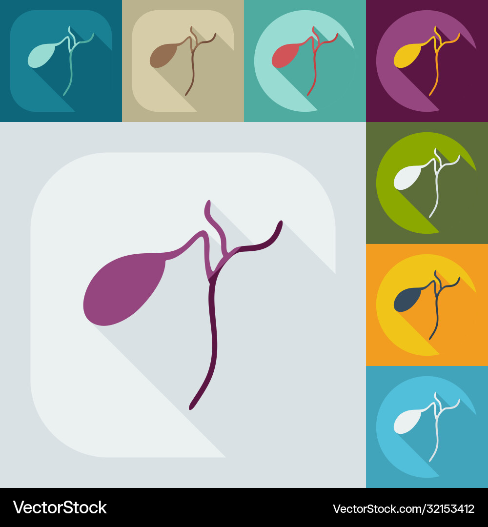 Flat modern design with shadow icons spleen Vector Image