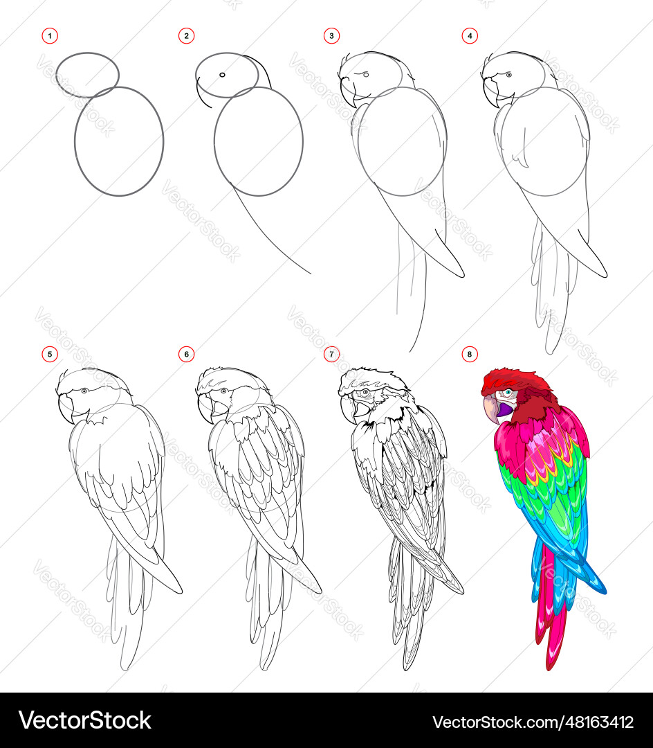 How to draw cute parrot educational page for Vector Image
