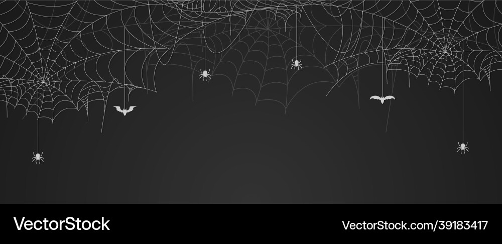 Spider web banner with spiders and bats hanging Vector Image