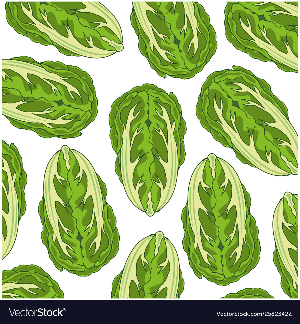 Cabbage sort peking decorative pattern Royalty Free Vector