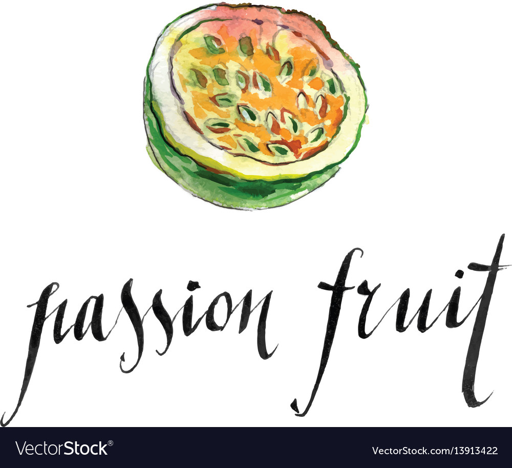 Watercolor Passion Fruit Royalty Free Vector Image