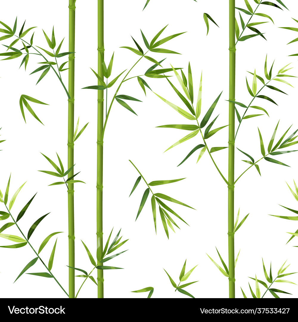 Bamboo pattern japanese seamless texture Vector Image