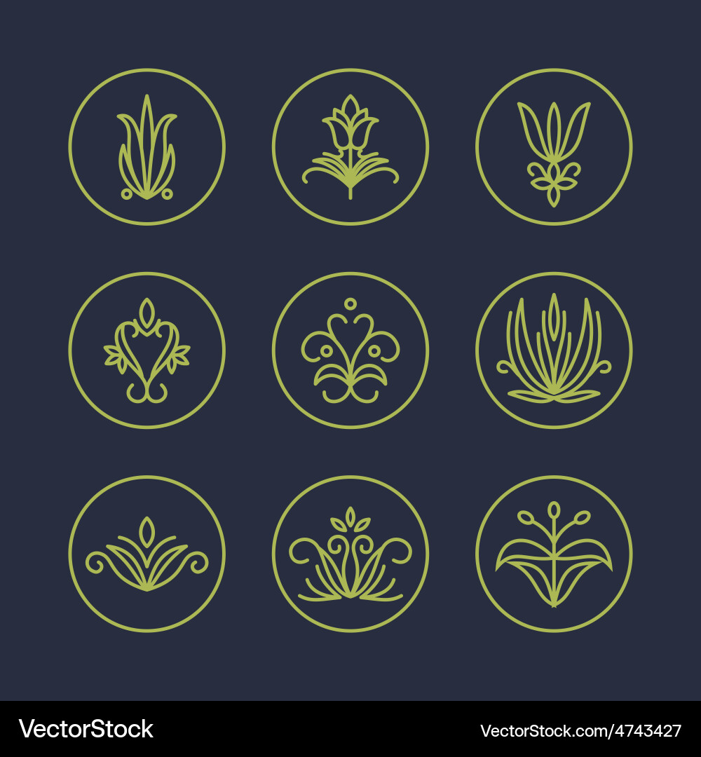 Set of thin line floral design elements for logos Vector Image