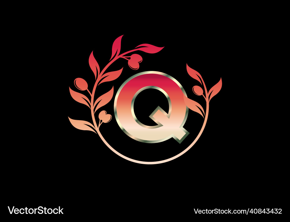 Initial letter q sign symbol with olive branch Vector Image