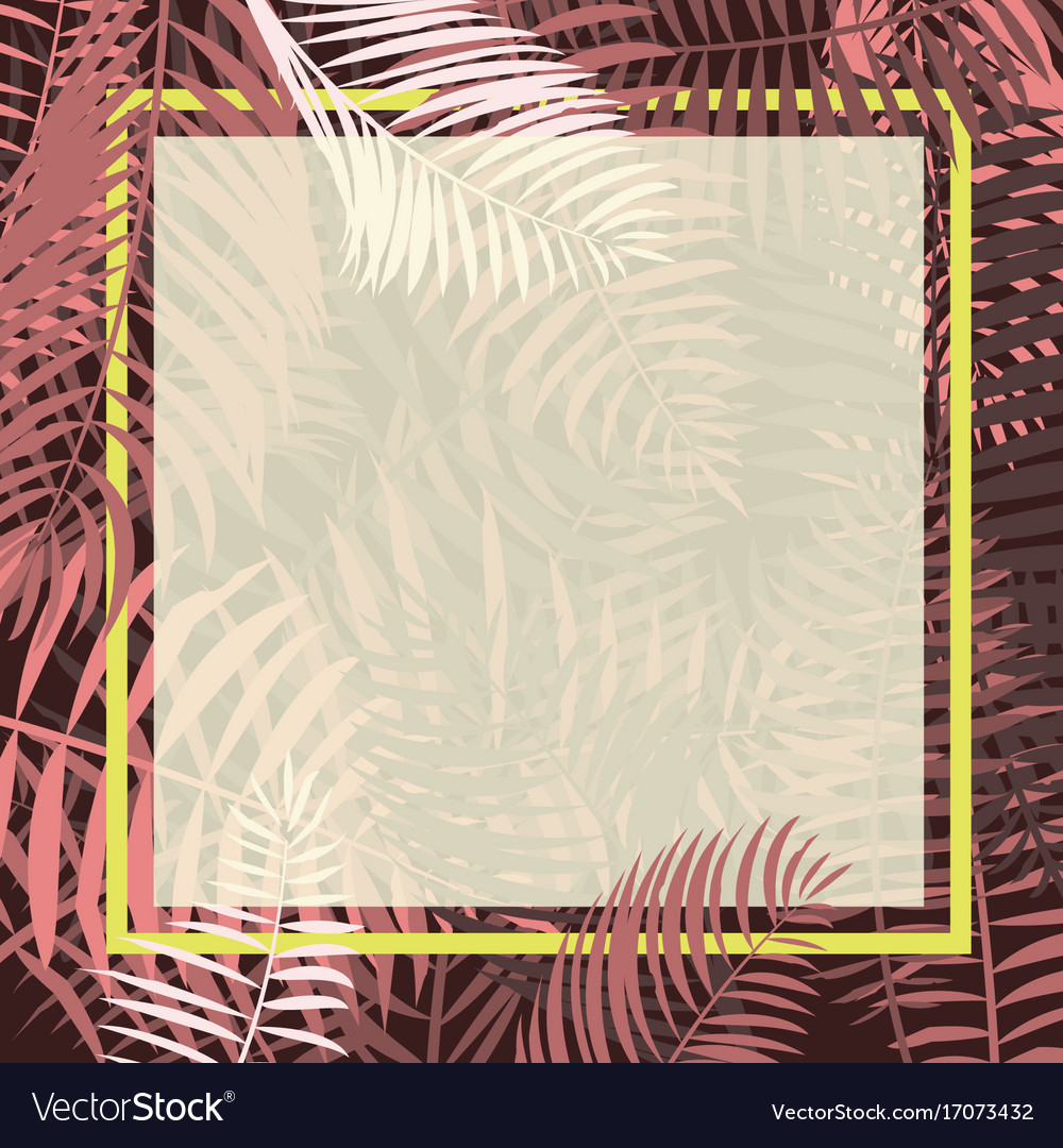 Palm leaf border Royalty Free Vector Image - VectorStock