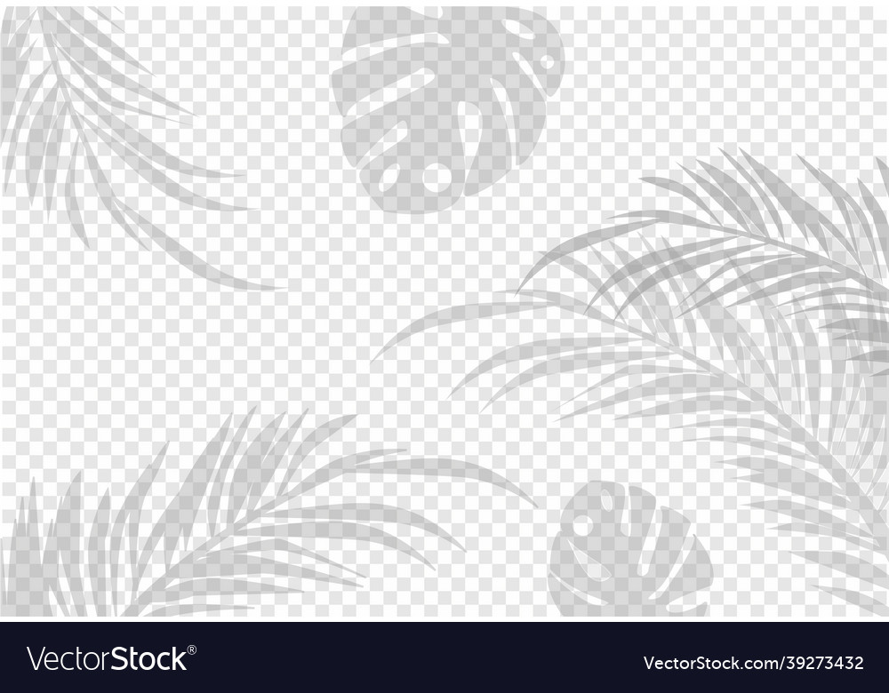 Translucent shadow effects Royalty Free Vector Image