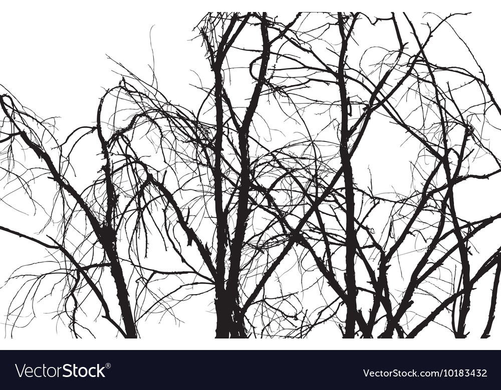 Tree background Royalty Free Vector Image - VectorStock