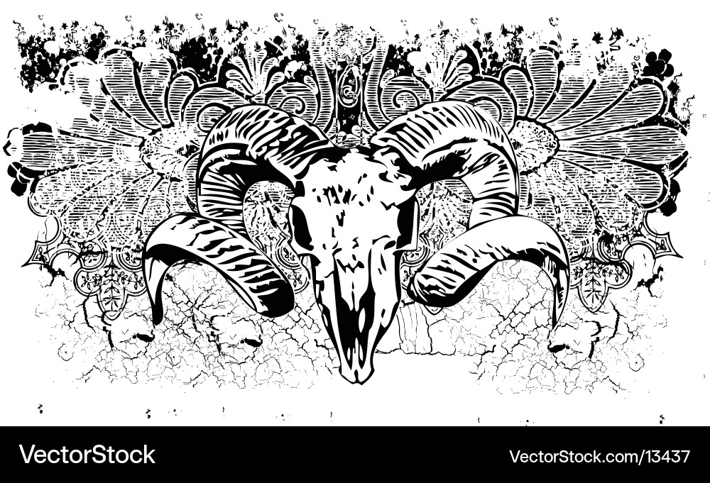 Skull background Royalty Free Vector Image - VectorStock