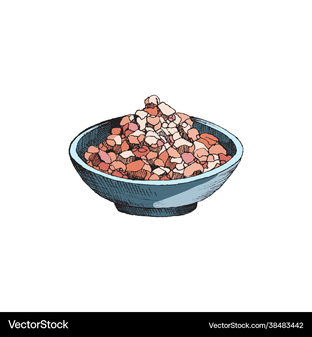 Bowl pink himalayan salt hand drawn Royalty Free Vector