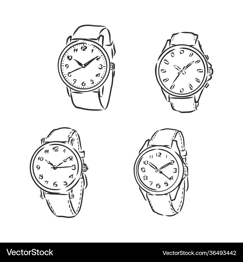 Mens mechanical watch isolated on white Royalty Free Vector