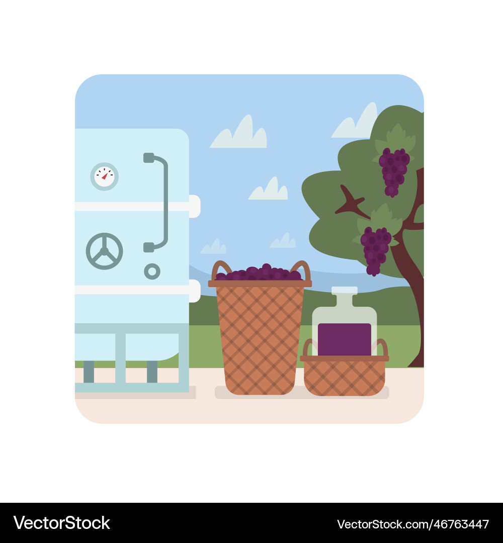 Process of fermentation of grapes Royalty Free Vector Image