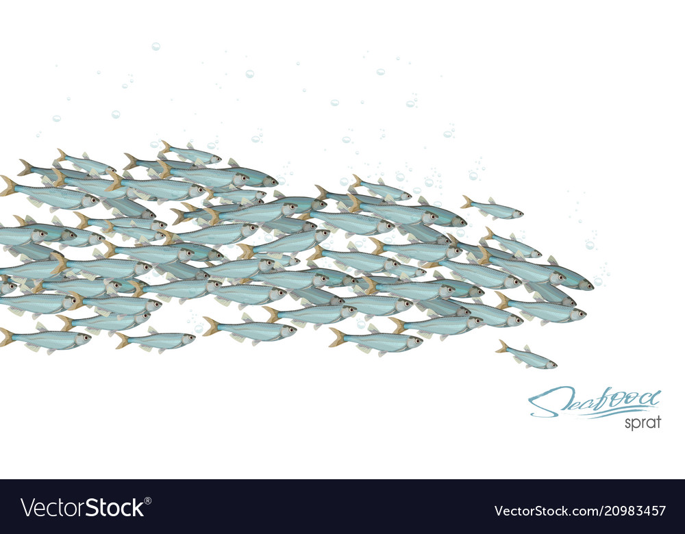 School fish for header web Royalty Free Vector Image