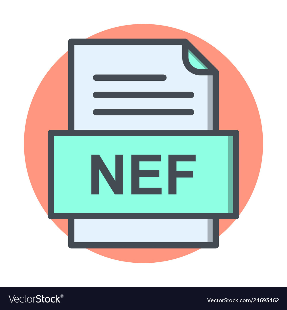 Nef file document icon Royalty Free Vector Image
