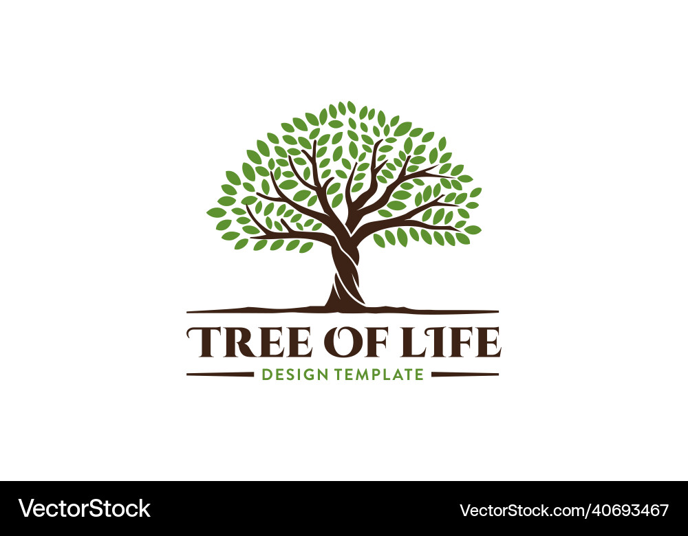 Abstract tree of life logo design template Vector Image