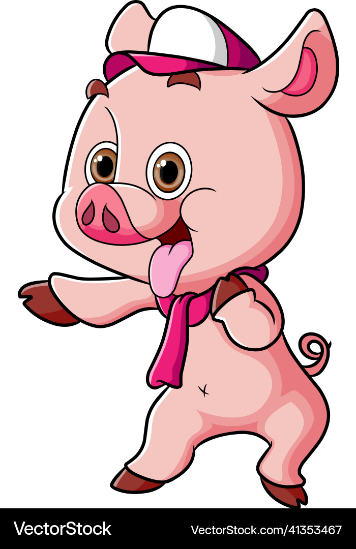 Cool pig is wearing a cap and scarf while taunting