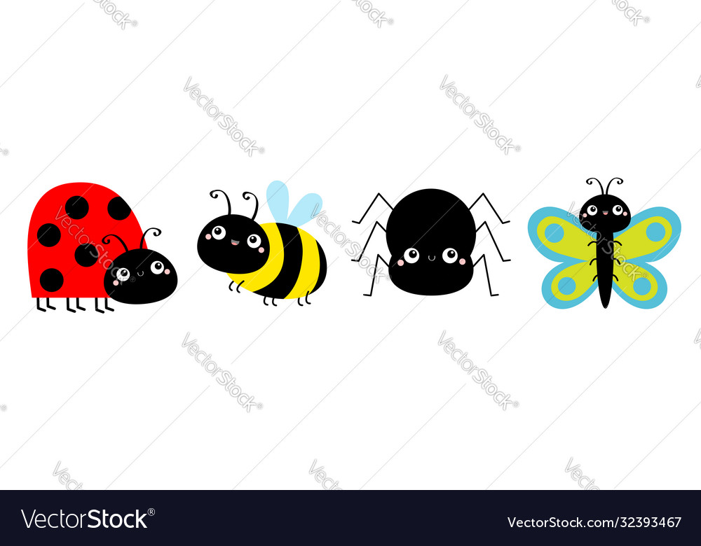 Ladybug ladybird bee bumblebee butterfly spider Vector Image