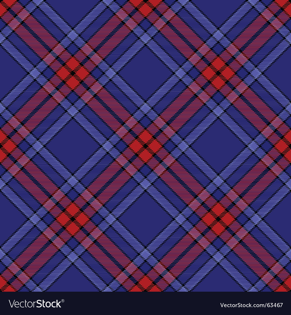 Plaid Royalty Free Vector Image - VectorStock