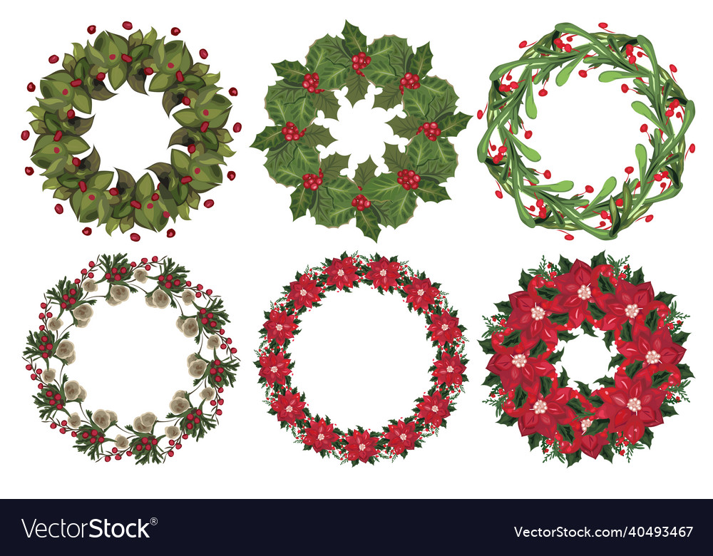 Set of christmas wreath with winter floral Vector Image