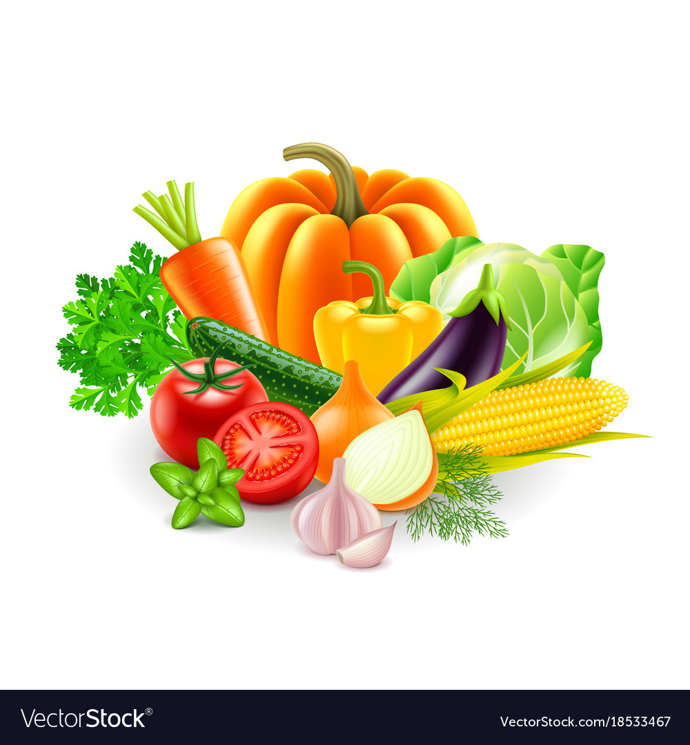 Vegetables on white background Royalty Free Vector Image