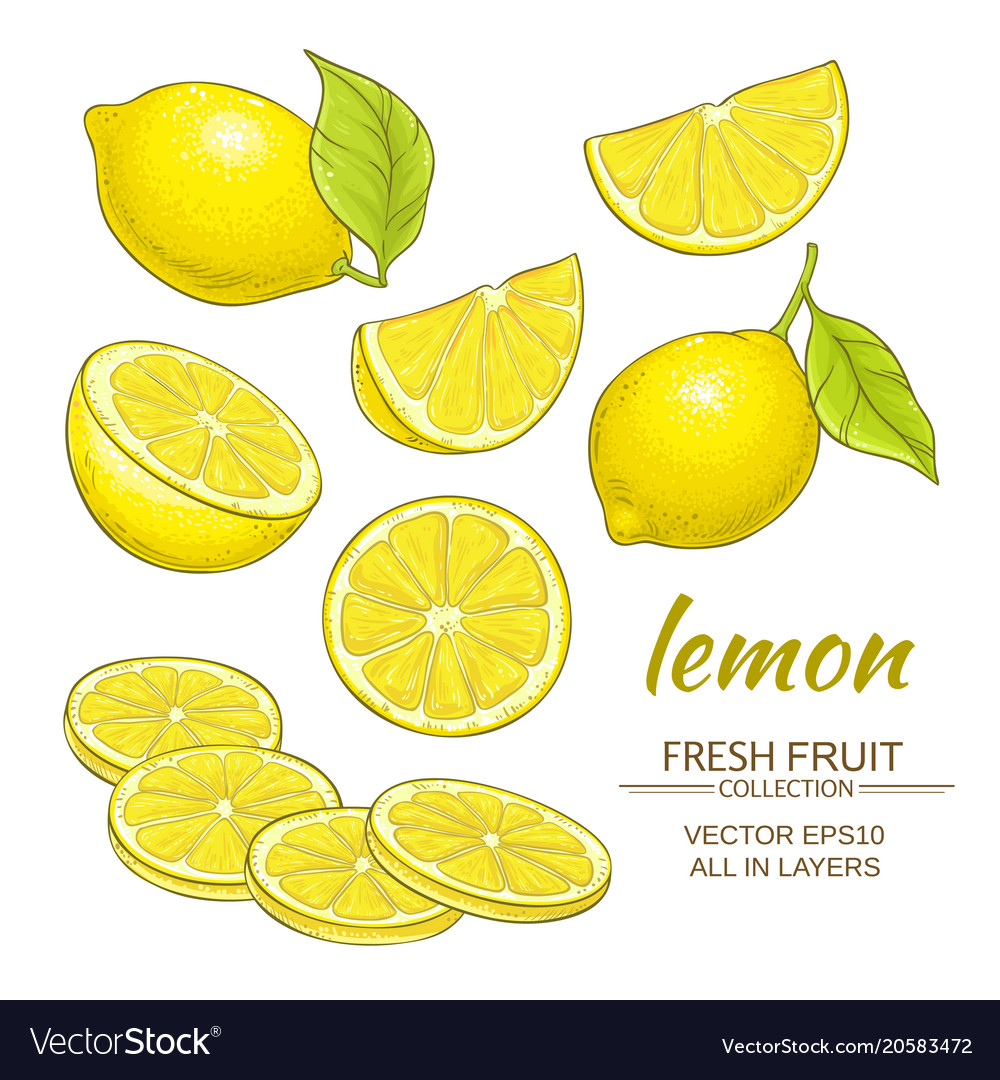 Lemon set Royalty Free Vector Image - VectorStock