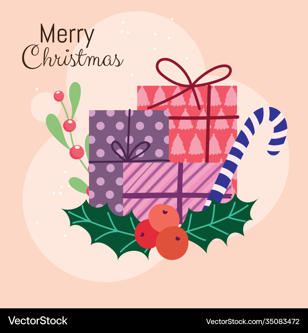 Merry christmas gift boxes candy cane and holly Vector Image