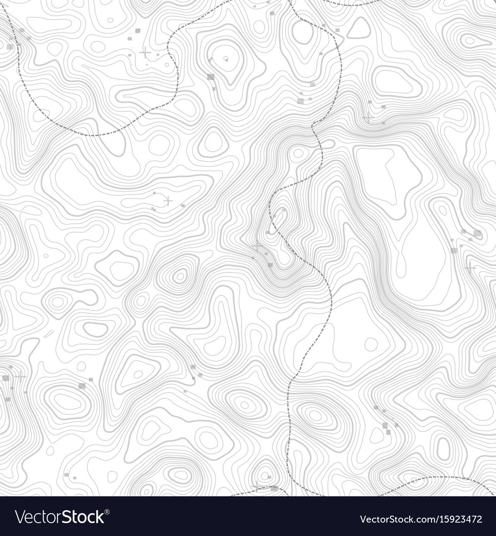 Seamless pattern topographic map background Vector Image