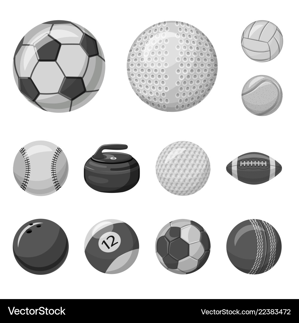 Sport and ball sign Royalty Free Vector Image - VectorStock