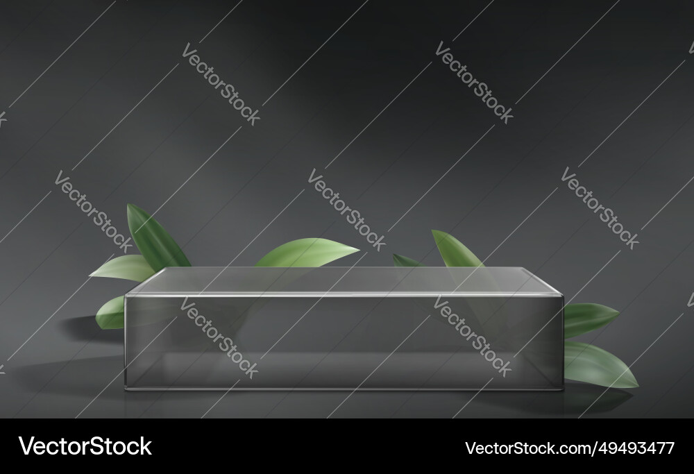 3d square glass platform with green plant Vector Image