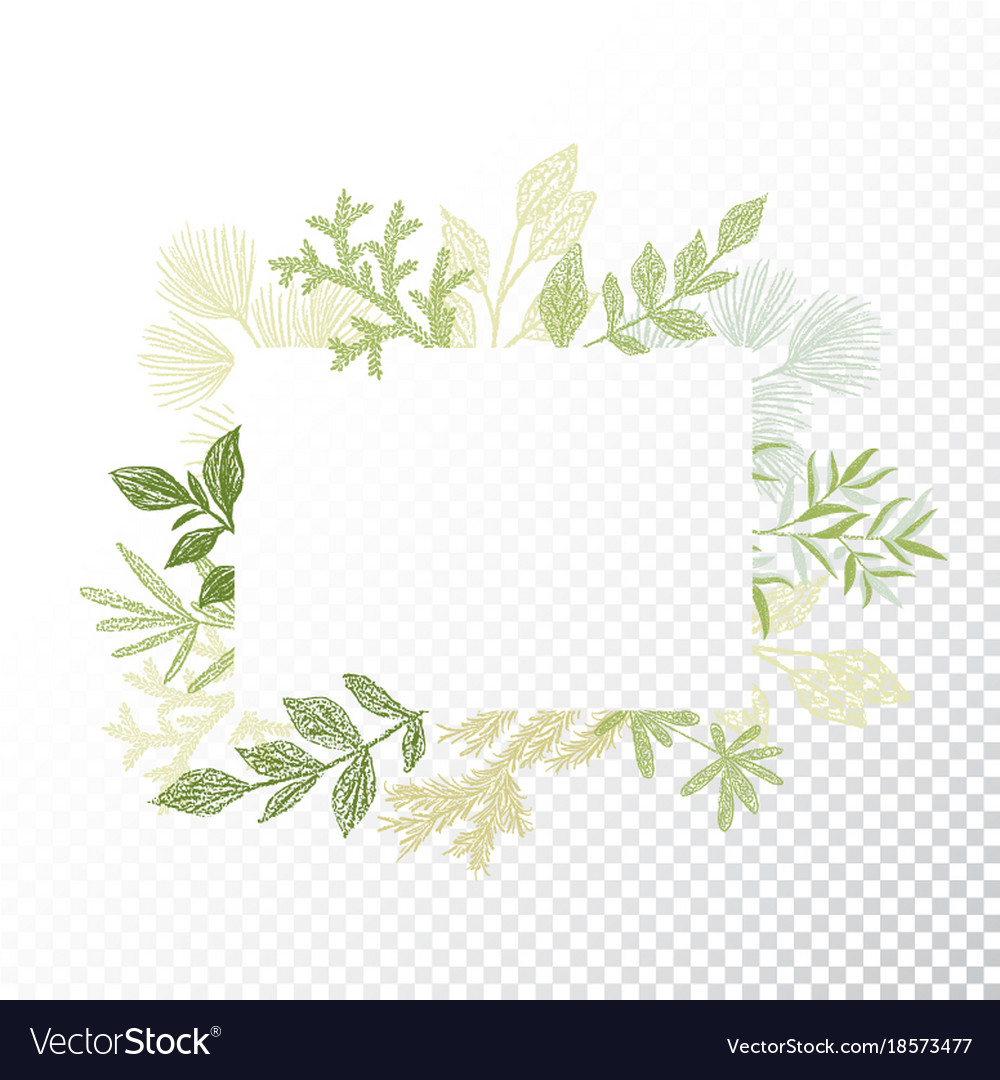 Rectangular frame branches and leaves Royalty Free Vector