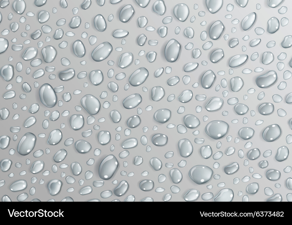 Background of water droplets Royalty Free Vector Image