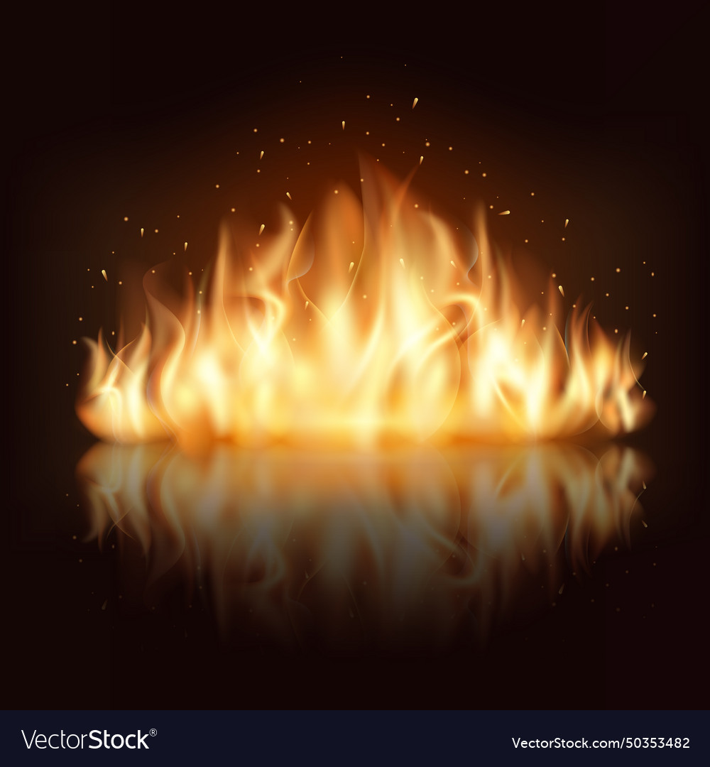 Burning fire flame Royalty Free Vector Image - VectorStock