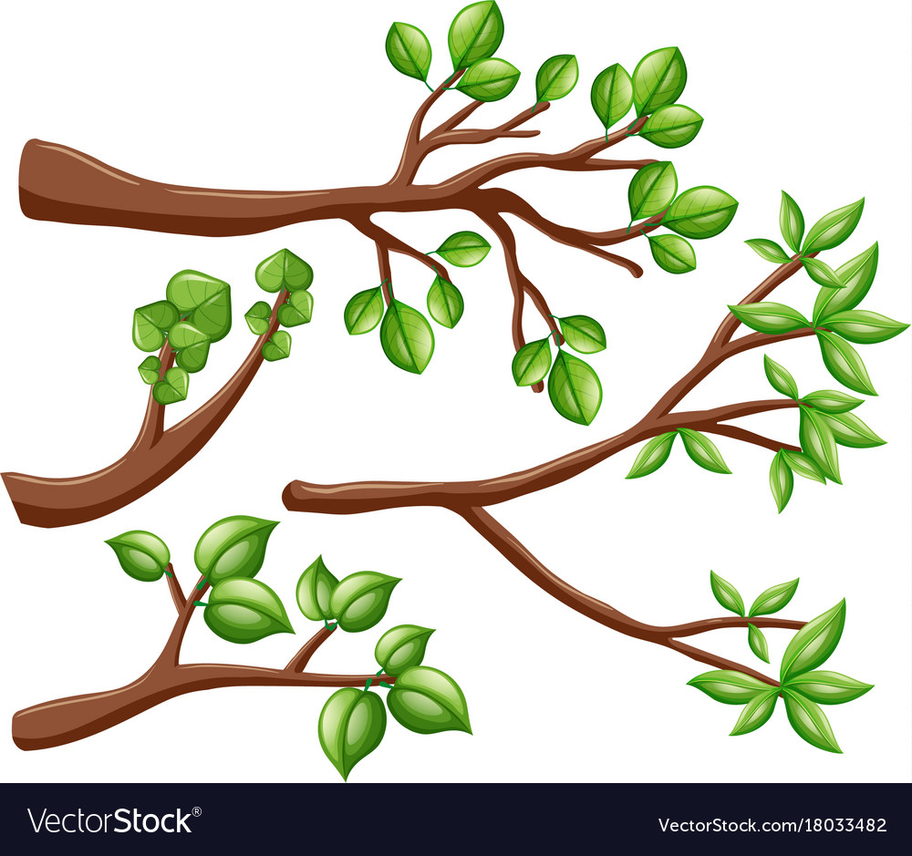 Different design branches Royalty Free Vector Image