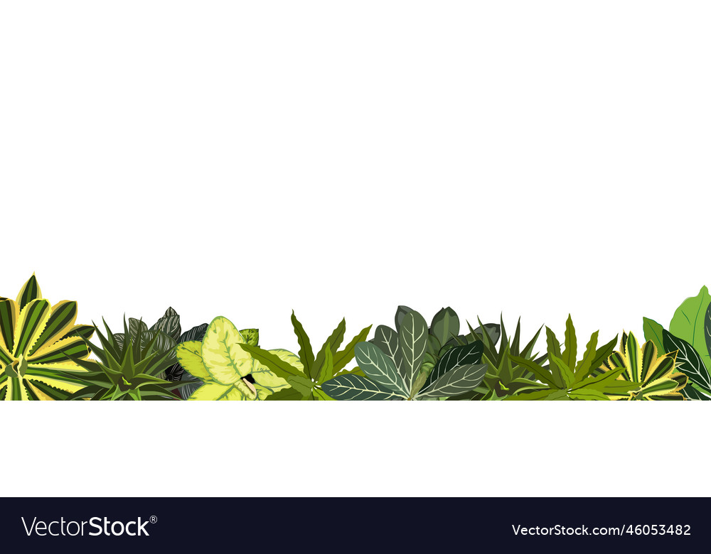 House plants and tropical leaves border Royalty Free Vector House plants and tropical leaves border Royalty Free Vector