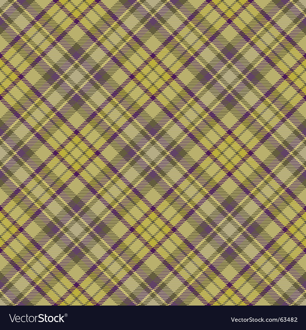 Plaid Royalty Free Vector Image - VectorStock
