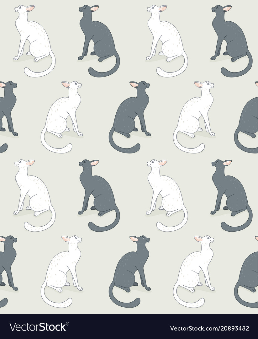 Seamless white cat Royalty Free Vector Image - VectorStock