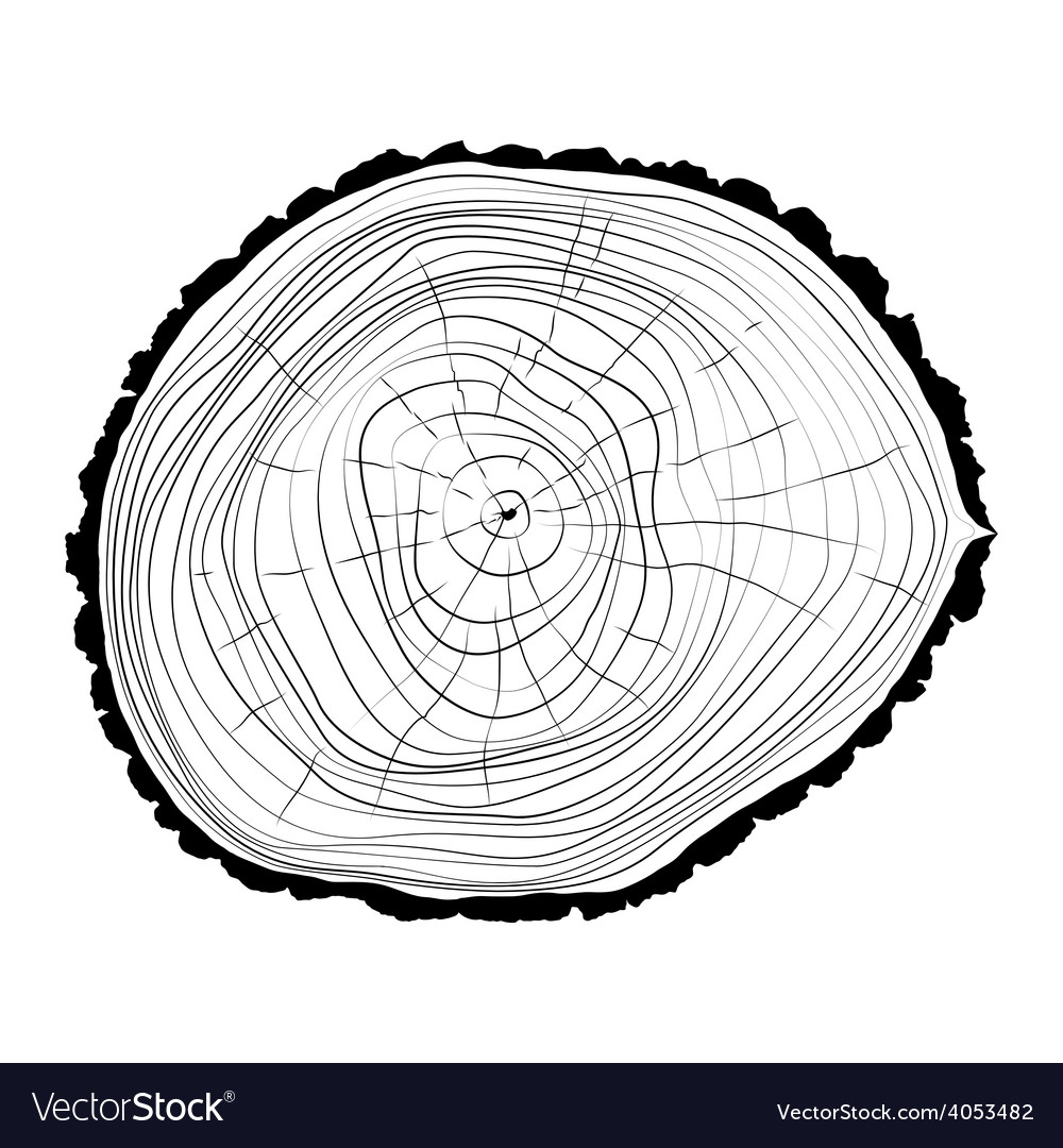 Trunk Royalty Free Vector Image - VectorStock
