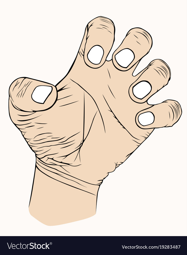 Hand Royalty Free Vector Image - VectorStock