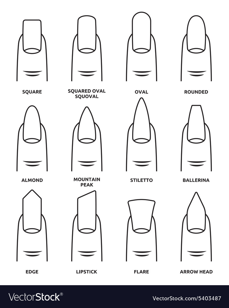 Nail Shape Template
