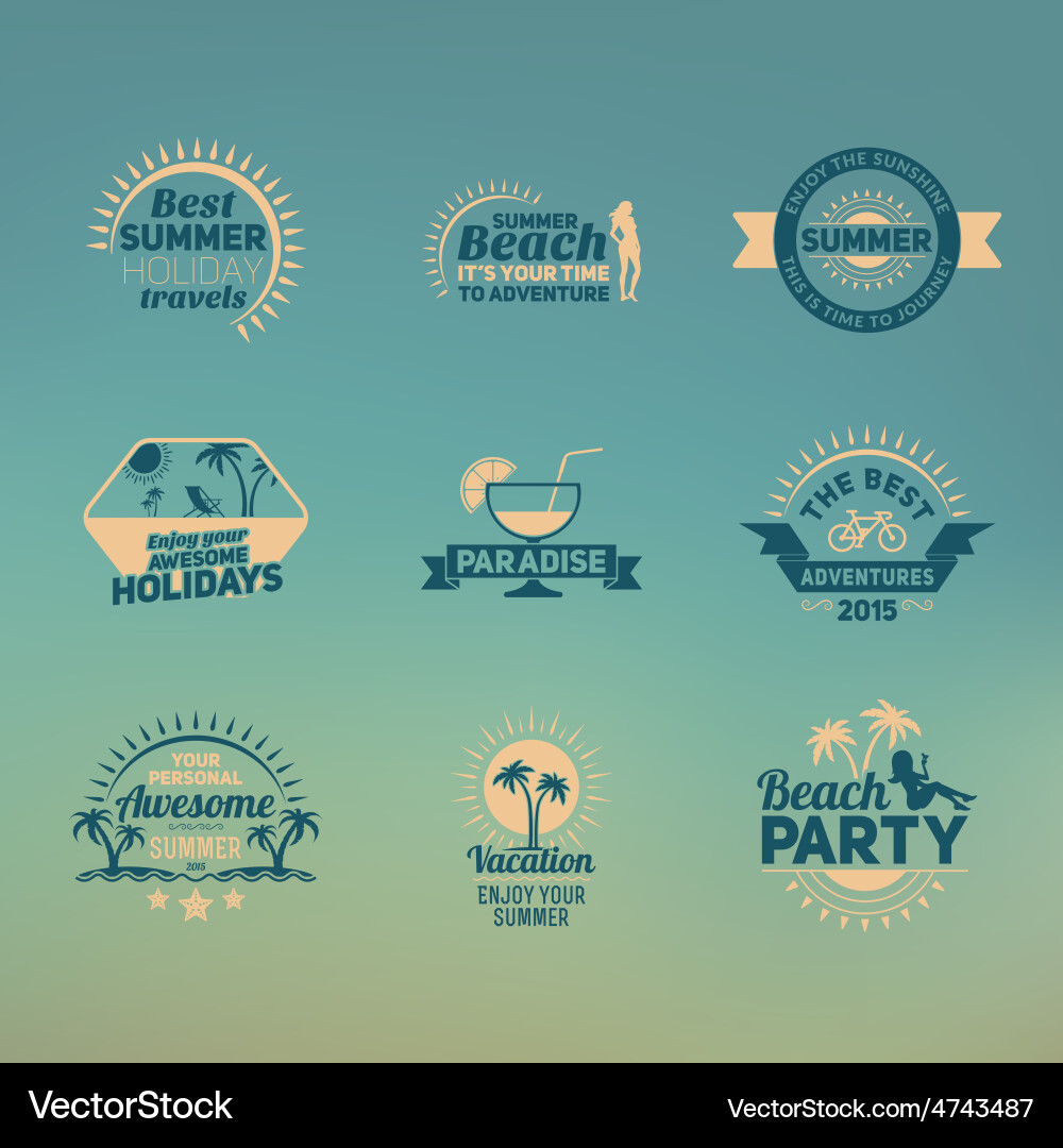 Set of summer retro design elements vintage Vector Image