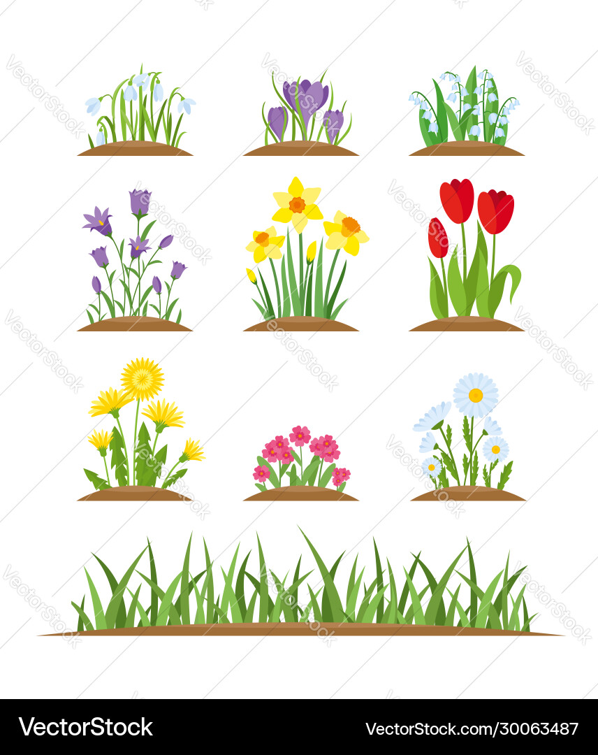 Spring wild forest and garden flowers Royalty Free Vector