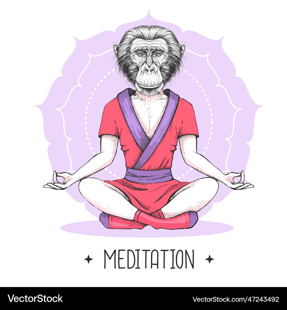 Animal monkey meditating in lotus position Vector Image