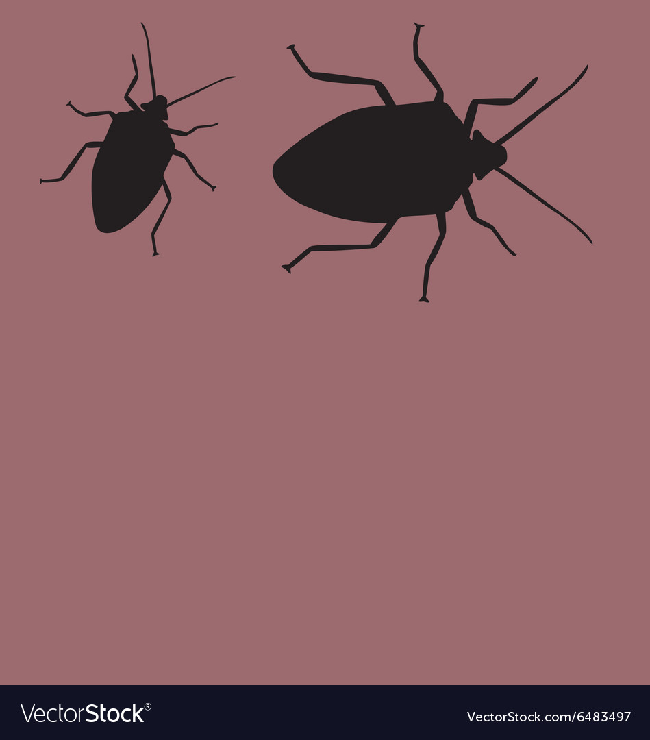 Bug Royalty Free Vector Image - VectorStock