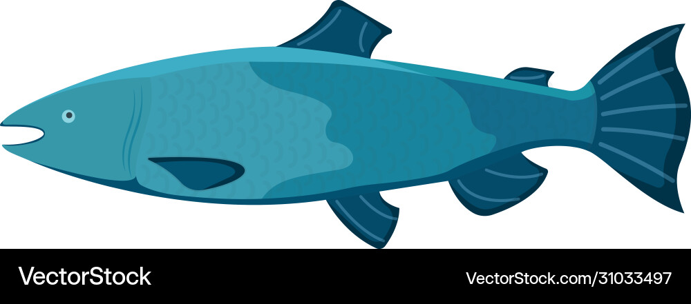Fresh fish cartoon style isolated on white flat Vector Image